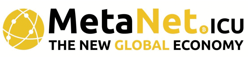 The MetaVerse · MetaNet ICU